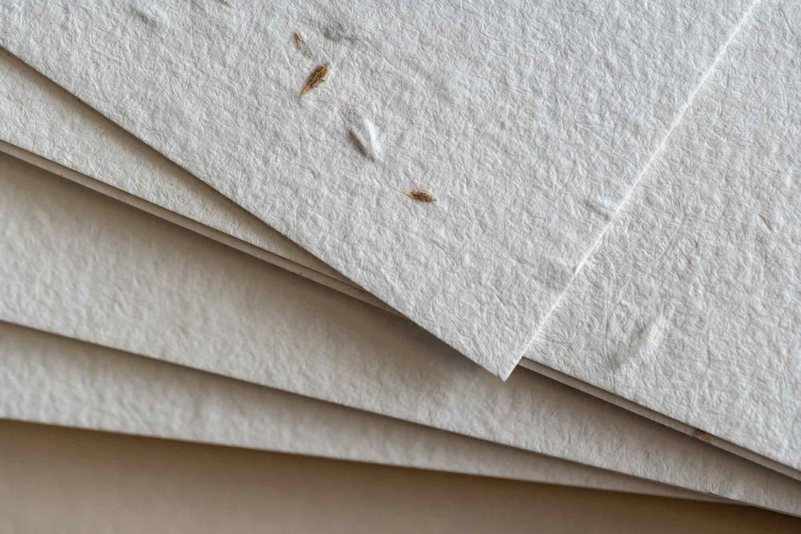 A4 Wildflower Seed Paper | Blank Plantable A4 Sheets
