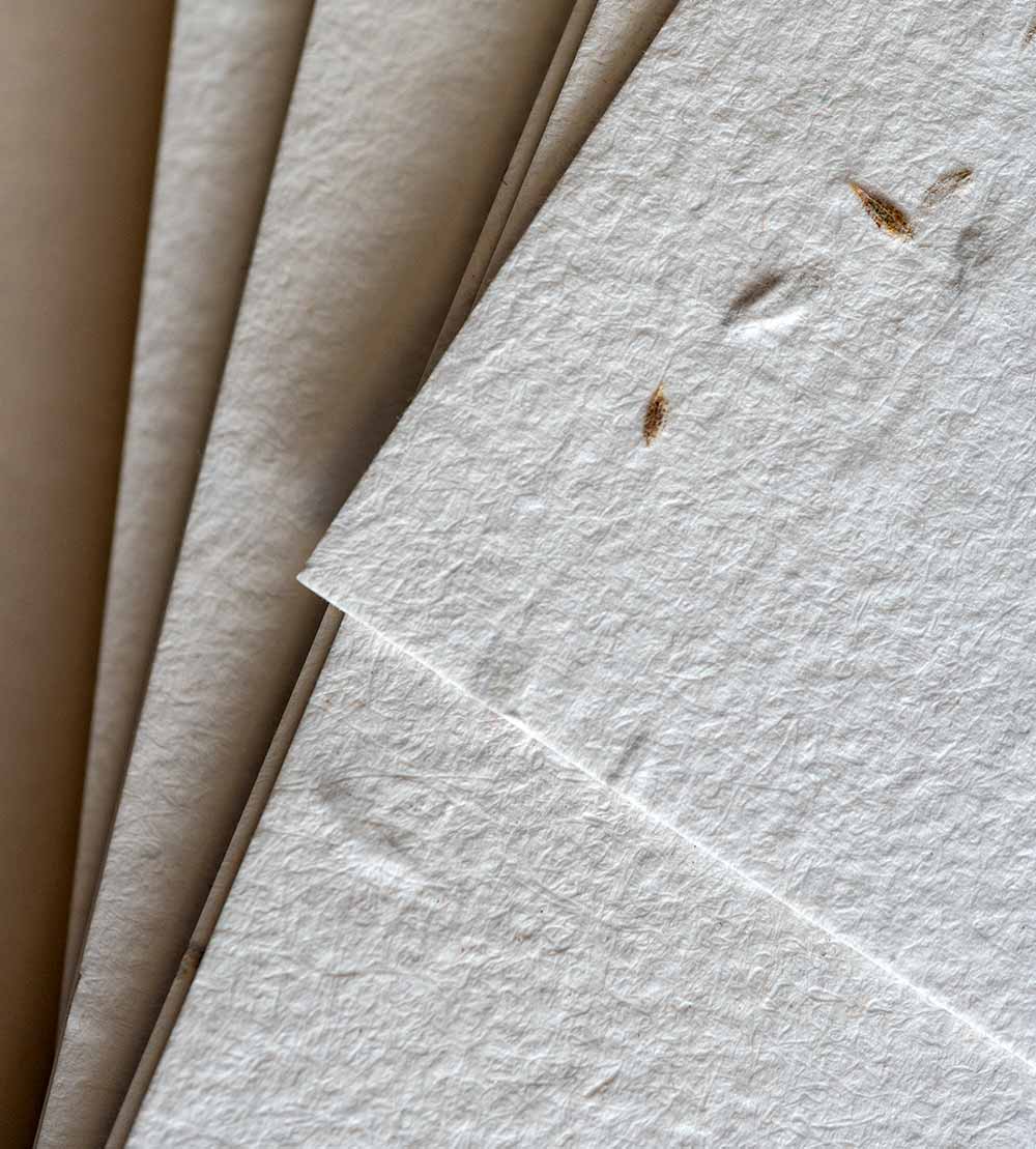 What Is Seed Paper? | Plantable Seed Paper & Wildflower Seed Paper UK